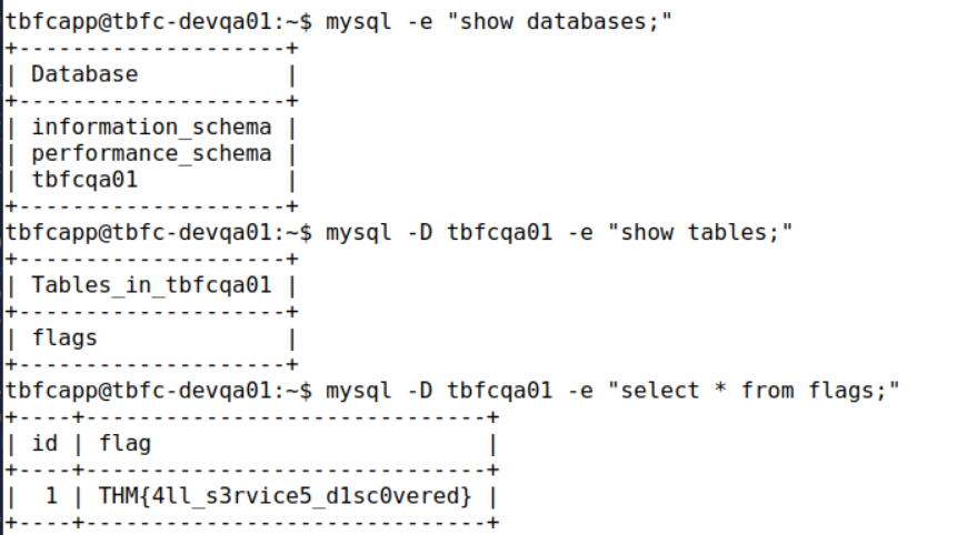 Advent of Cyber 2025 - Day 7 - Scan-ta Clause | CyberDeigs